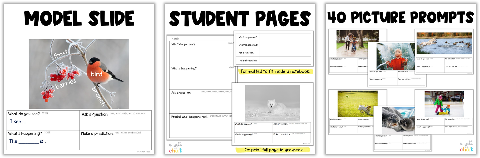 Effective Go-To ELD Lesson Activities - A Walk in the Chalk