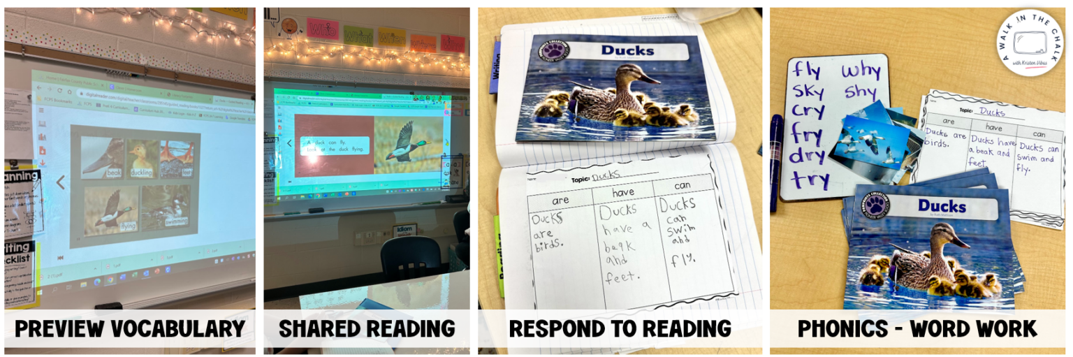 ELD Lesson Planning Format - A Walk in the Chalk