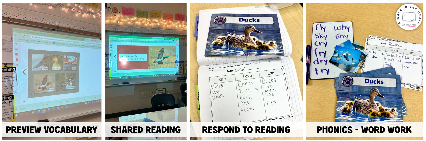 ELD Lesson Planning Format - A Walk in the Chalk