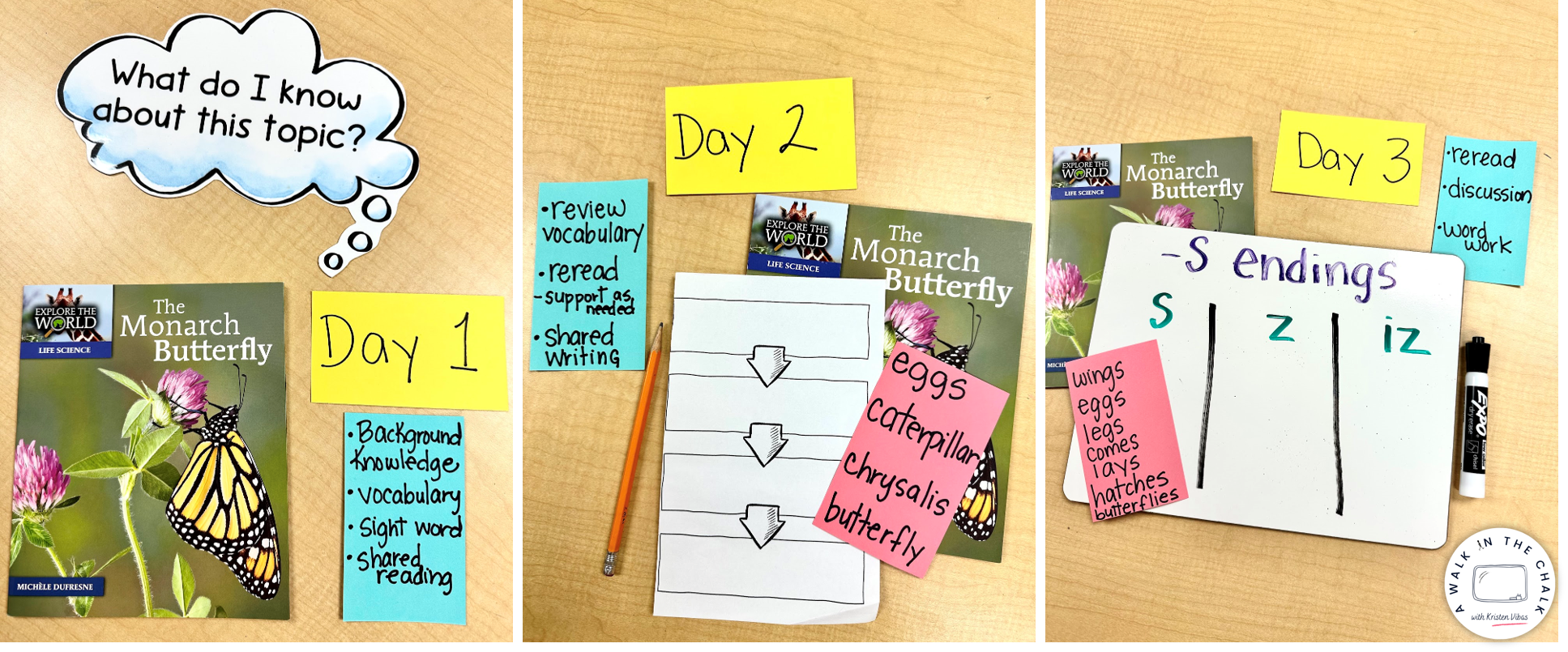 ELD Lesson Planning Format - A Walk in the Chalk