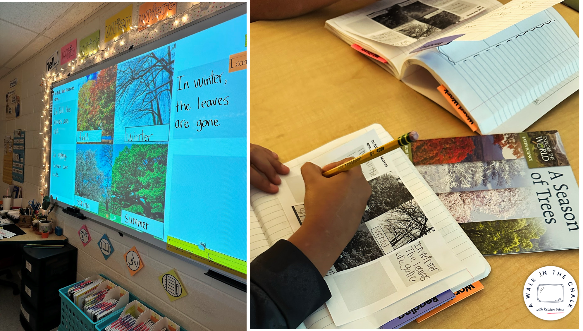 ELD Lesson Planning Format - A Walk in the Chalk