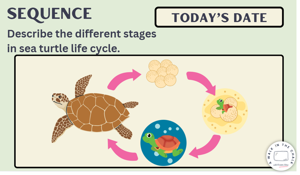 How To Plan Language Function Units - 5 Easy Steps - A Walk in the Chalk