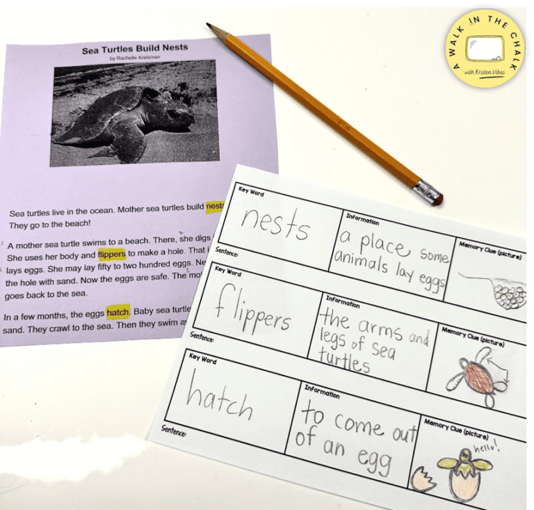 How To Plan Language Function Units - 5 Easy Steps - A Walk in the Chalk