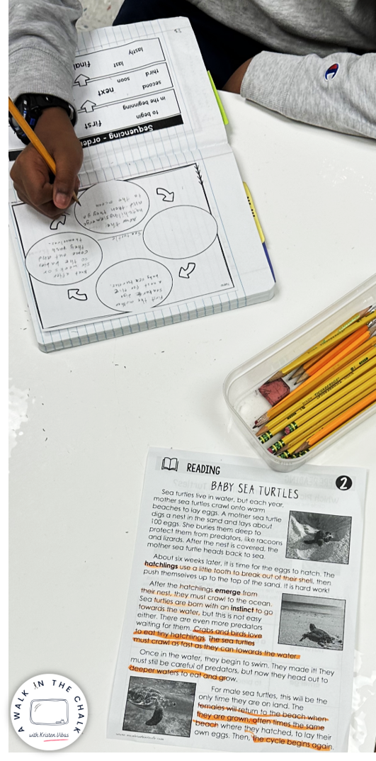 How To Plan Language Function Units - 5 Easy Steps - A Walk in the Chalk